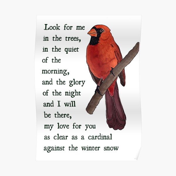 "Loved One Cardinal Condolence Message and Illustration (Green on White ...