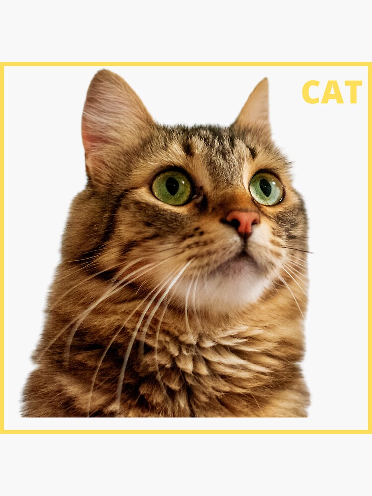 "Cat recognized by ML model" Sticker for Sale by anaderol | Redbubble