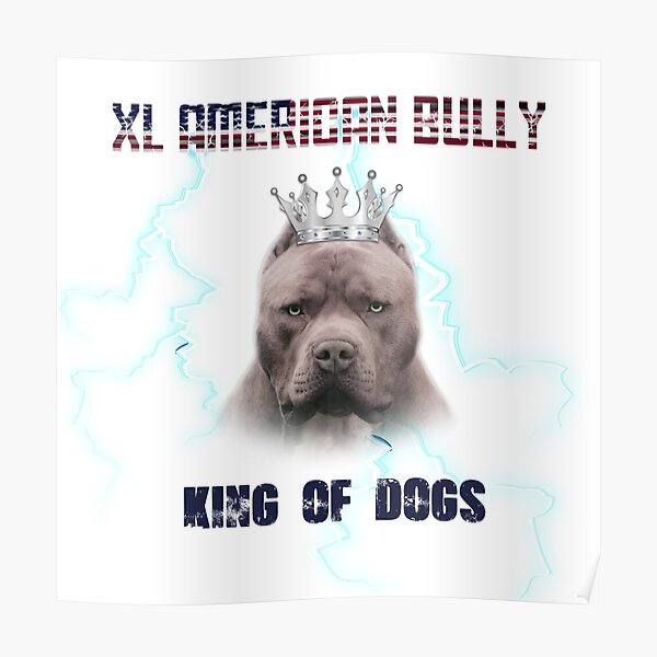 "xl american bully, king of dogs." Poster for Sale by Youreck | Redbubble