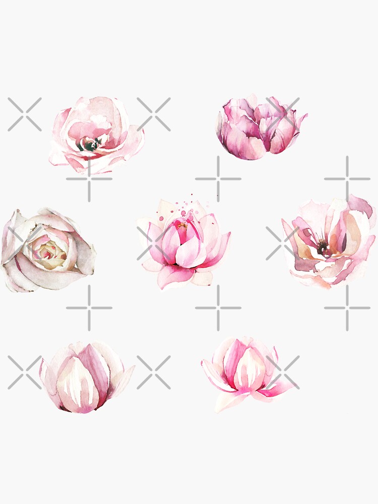 "Pink watercolor flower sticker pack" Sticker for Sale by Caramel ...