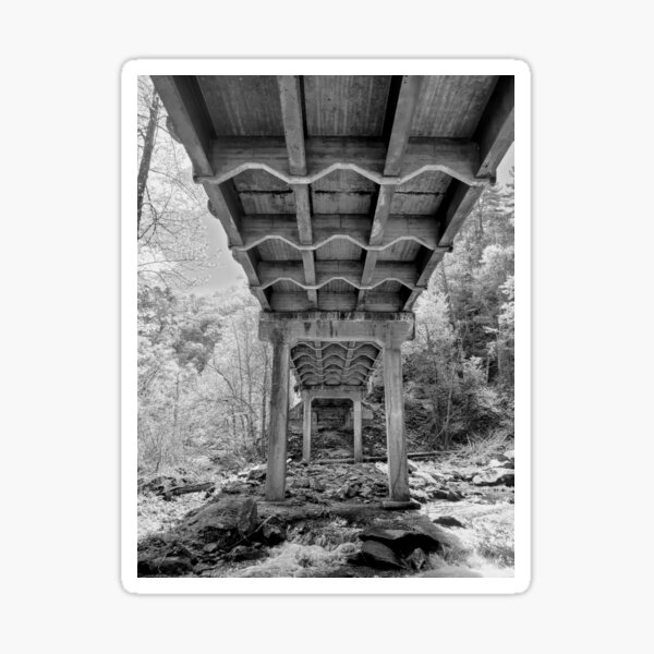 "Forest Bridge" Sticker for Sale by BCMDesigns | Redbubble