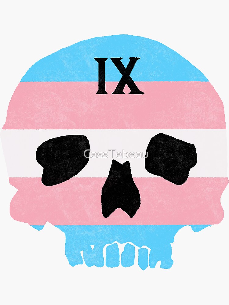"Ninth House (Trans Flag)" Sticker for Sale by CassTebeau | Redbubble