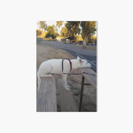 "Tetris Dog, The Original "Dog Sitting, Standing, and Lying down"" Art ...