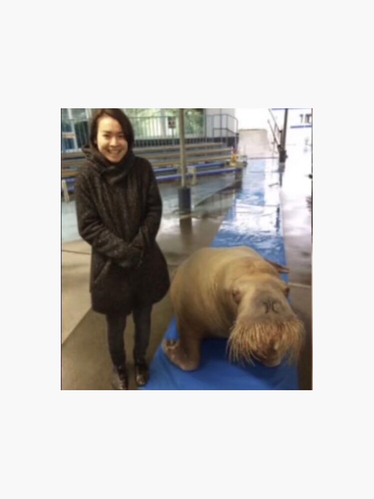 "Mitski With Gay Walrus " Sticker for Sale by yaoicatalogue | Redbubble