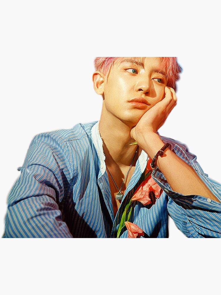 ""#BOYFRIEND", Chanyeol Sticker" Sticker for Sale by seuril | Redbubble