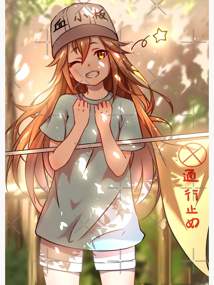 "Platelet Cells At Work Drawing For Fan" Poster for Sale by veysisart ...