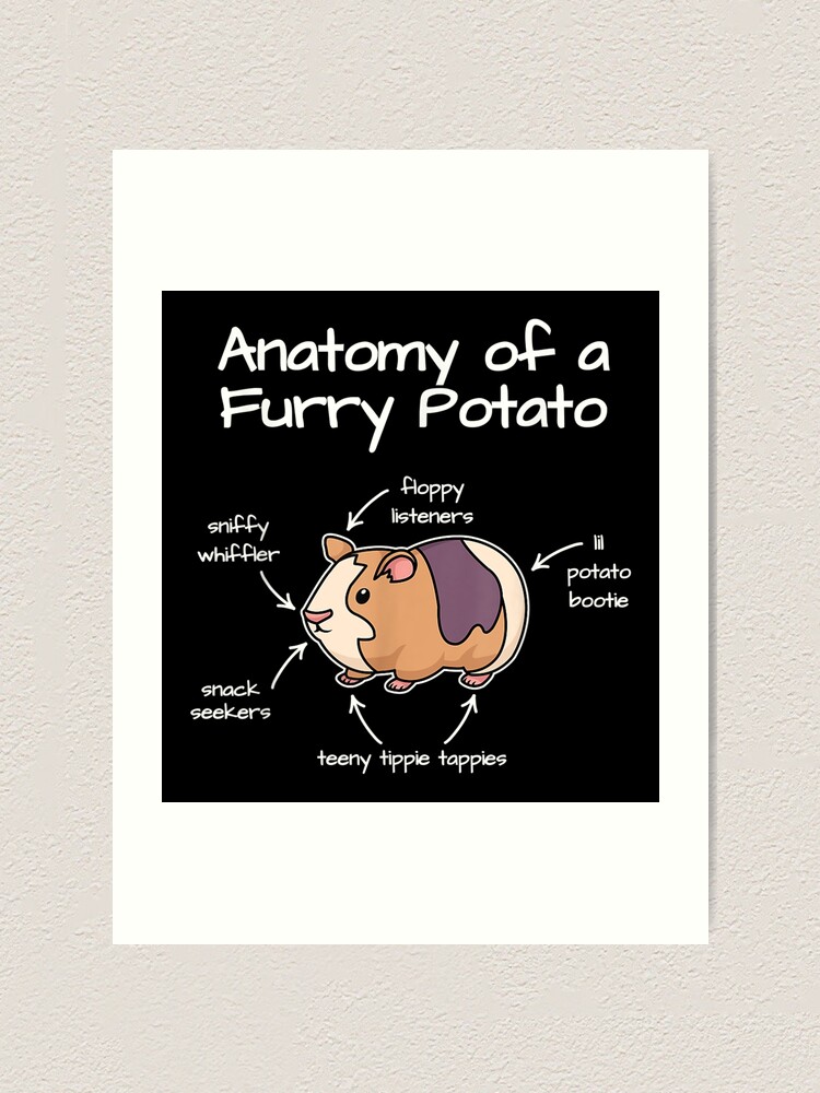 "Anatomy Of A Furry Potato" Art Print for Sale by MaxHillBQ | Redbubble