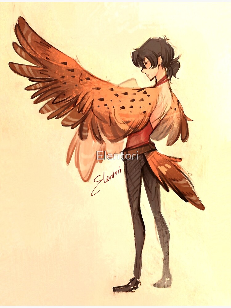 Bird Human Characters