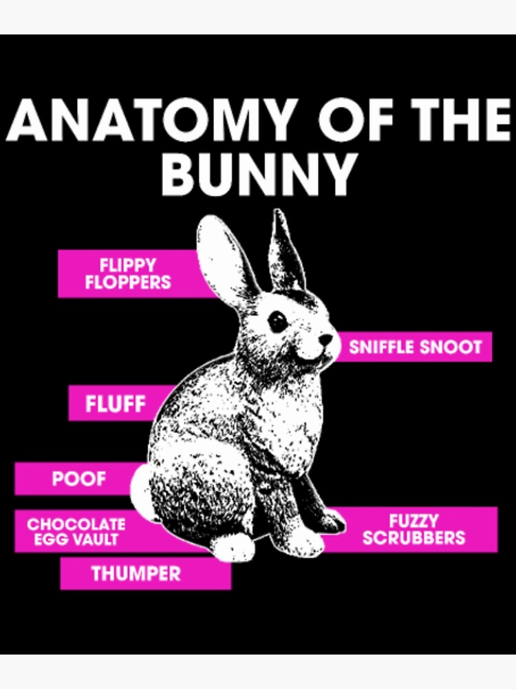 "Anatomy Bunny Rabbit" Poster for Sale by PosreZaia | Redbubble