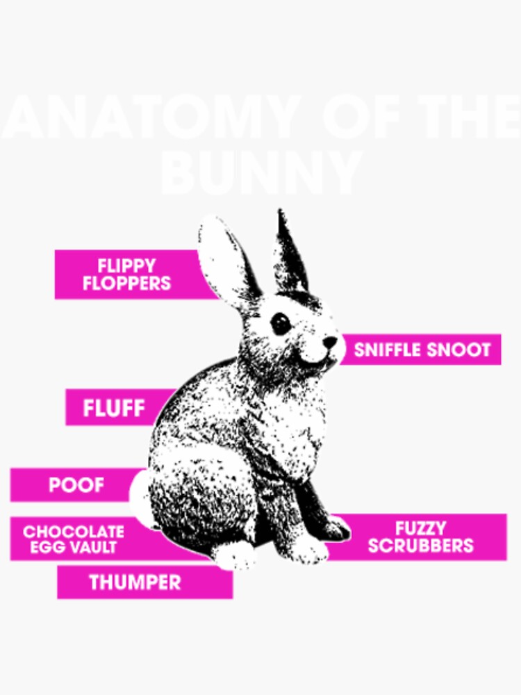 "Anatomy Bunny Rabbit" Sticker for Sale by PosreZaia | Redbubble