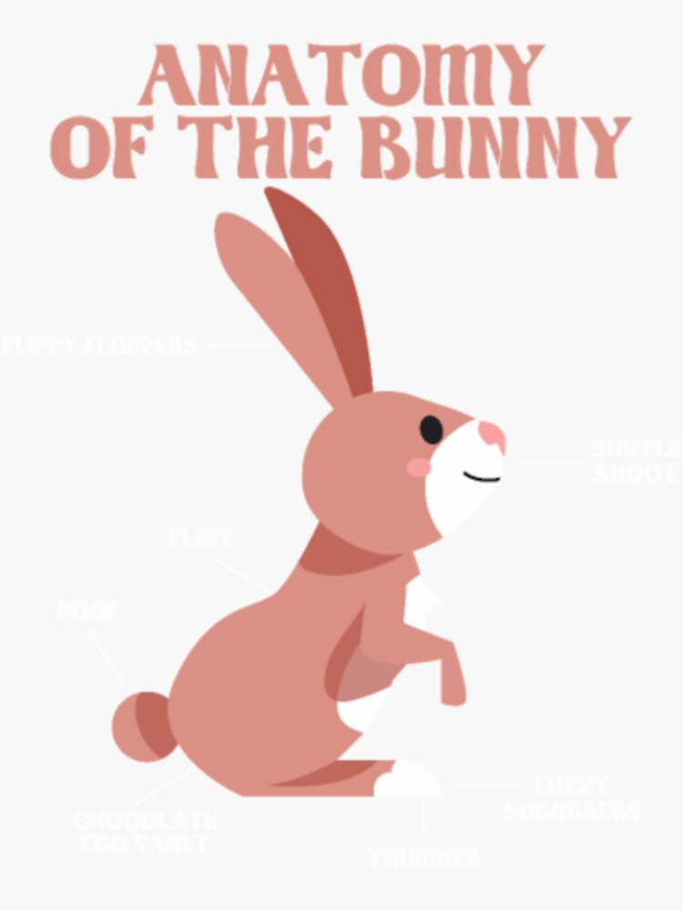 "Anatomy Of The Bunny Funny Rabbit Lover" Sticker for Sale by PosreZaia ...