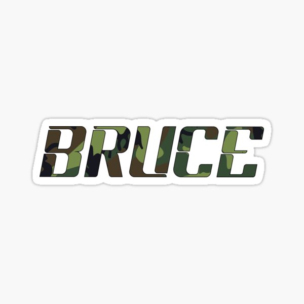 "BRUCE Name III - My name is BRUCE - typography name - Camo Vibe ...