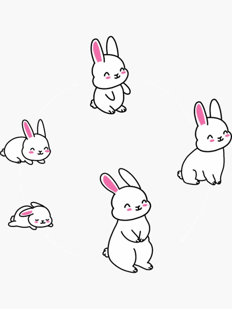 "Bunny Lifecycle for Rabbit Owners" Sticker for Sale by BenxiTijoa ...