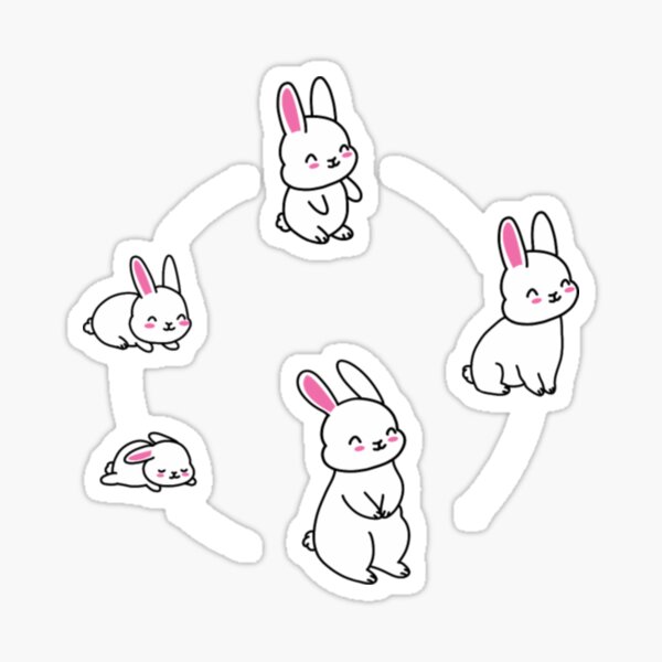 "Bunny Lifecycle for Rabbit Owners" Sticker for Sale by BenxiTijoa ...