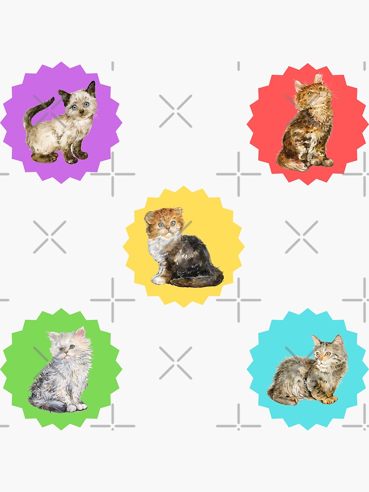 "Kitten Sticker Packs" Sticker for Sale by Unlocked-Art | Redbubble