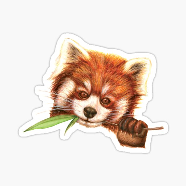 "Red Panda" Sticker for Sale by Suzannah Alexander | Redbubble