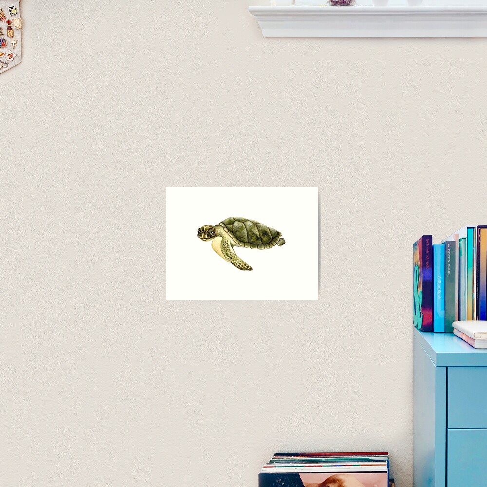 "Kemp's Ridley Sea Turtle" Art Print for Sale by suzalexand | Redbubble