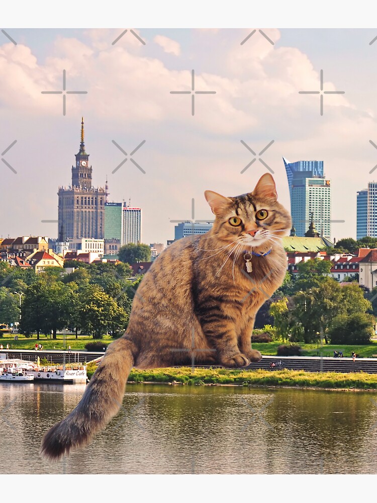 "Surreal photos with giant cats in New York. Catzilla. Photoshop design ...