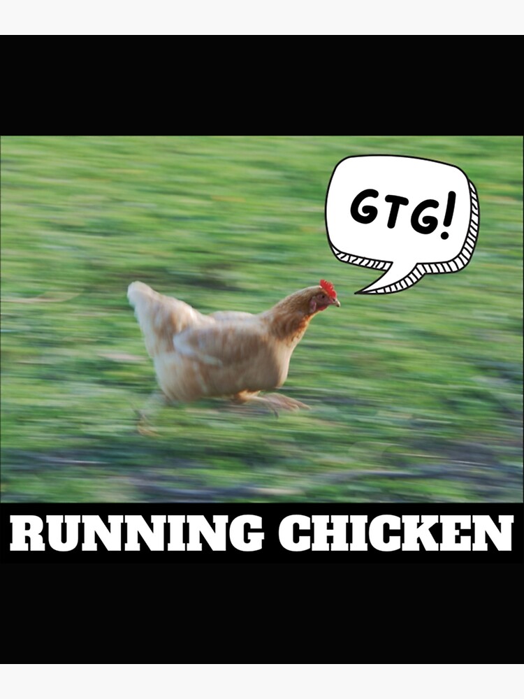"GTG! Funny Running Chicken Meme- Run Chicken Run " Art Print for Sale ...