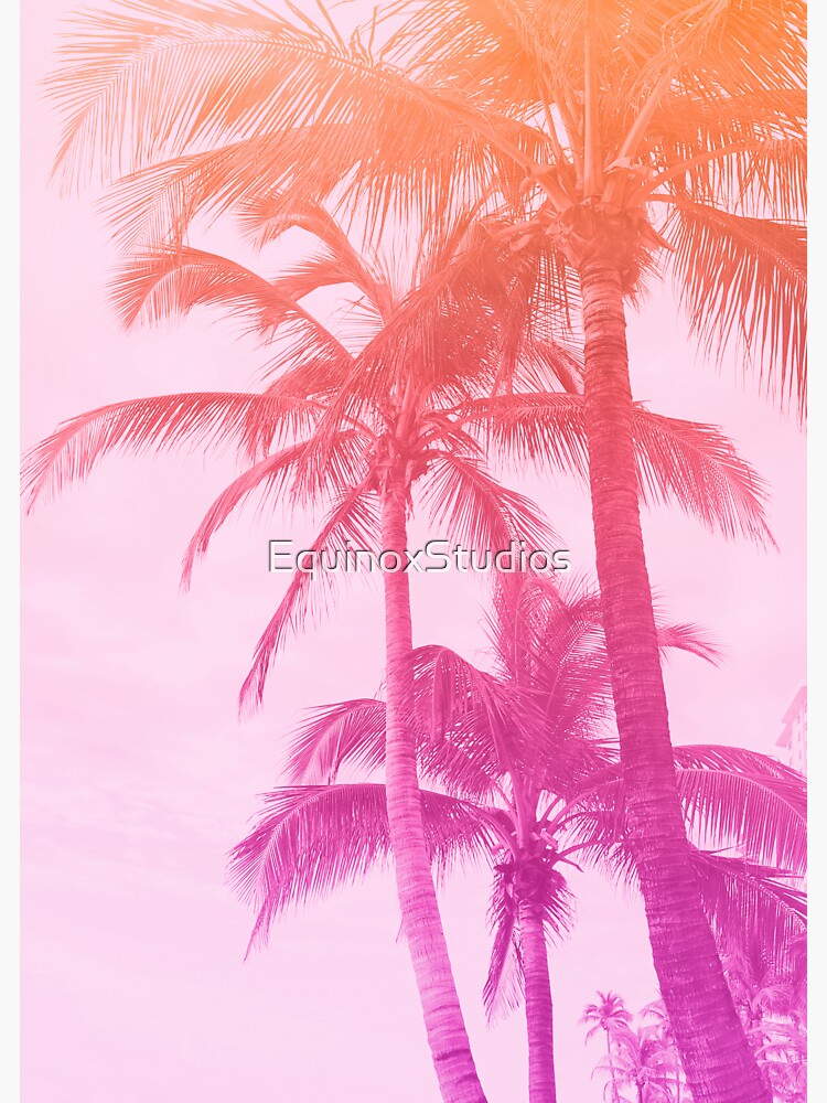 "Pink Palm Trees" Sticker for Sale by EquinoxStudios | Redbubble