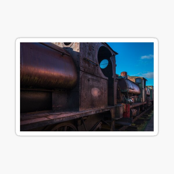 "Condemned but not Unloved" Sticker by colinsart | Redbubble