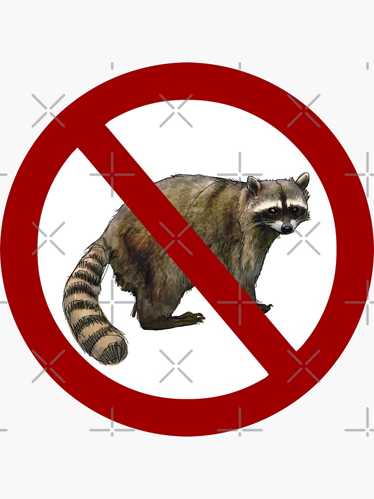 "no raccoons allowed" Sticker for Sale by bapsi | Redbubble
