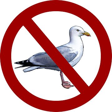 "no seagulls allowed" Sticker for Sale by bapsi | Redbubble
