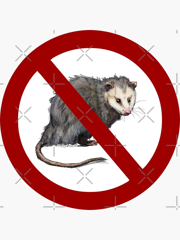 "no opossums allowed" Sticker for Sale by bapsi | Redbubble