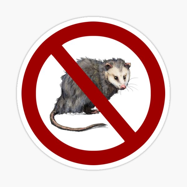 "no opossums allowed" Sticker for Sale by bapsi | Redbubble