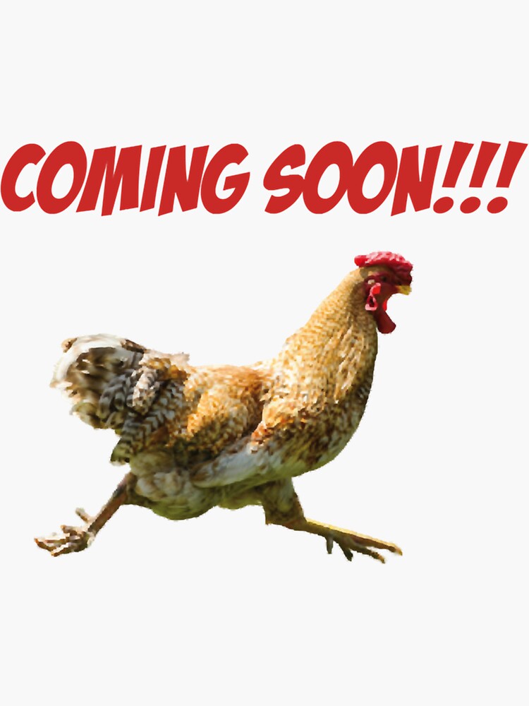 "coming soon,run chicken " Sticker for Sale by OrabelleCeline | Redbubble