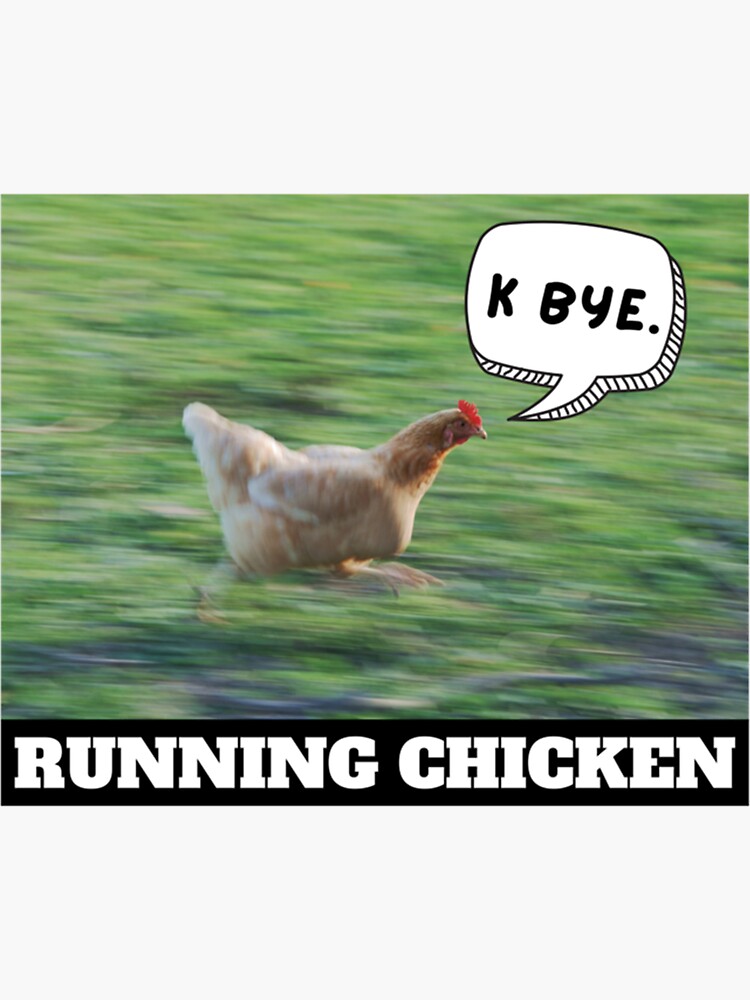"K BYE Funny Running Chicken Meme- Funny Meme " Sticker for Sale by ...