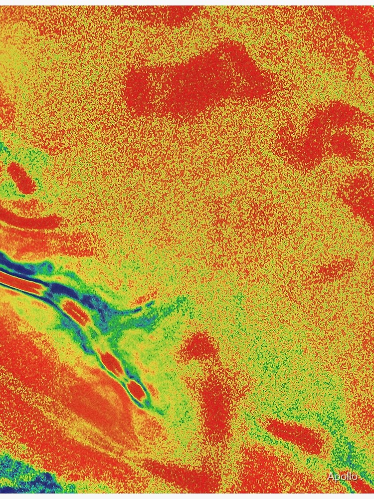 "Heatmap" Poster for Sale by PissShop | Redbubble