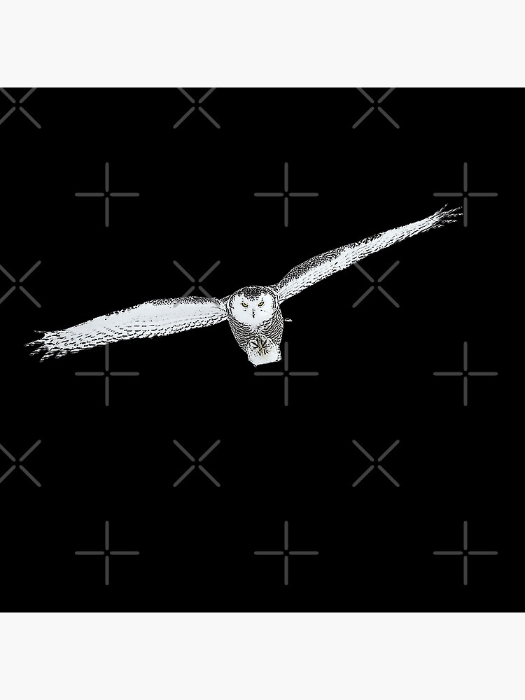 "Snowy Owl Color Design " Poster for Sale by designsasstultd | Redbubble