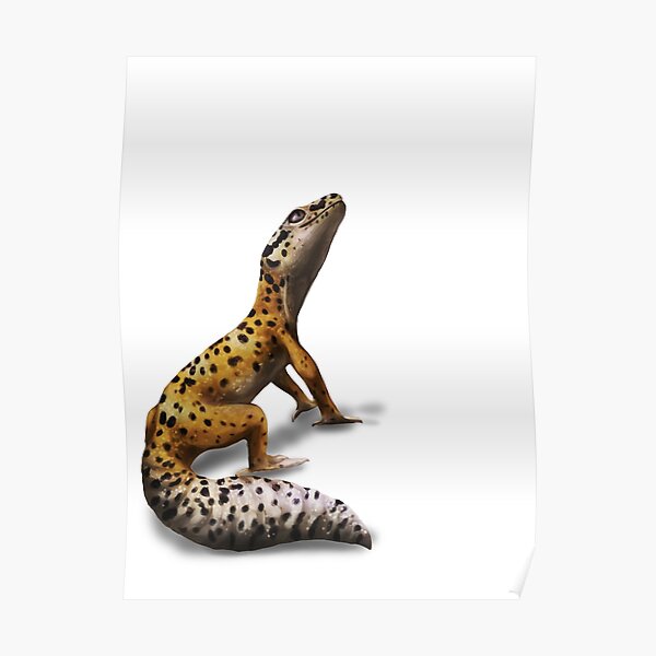 Leopard Gecko Posters | Redbubble
