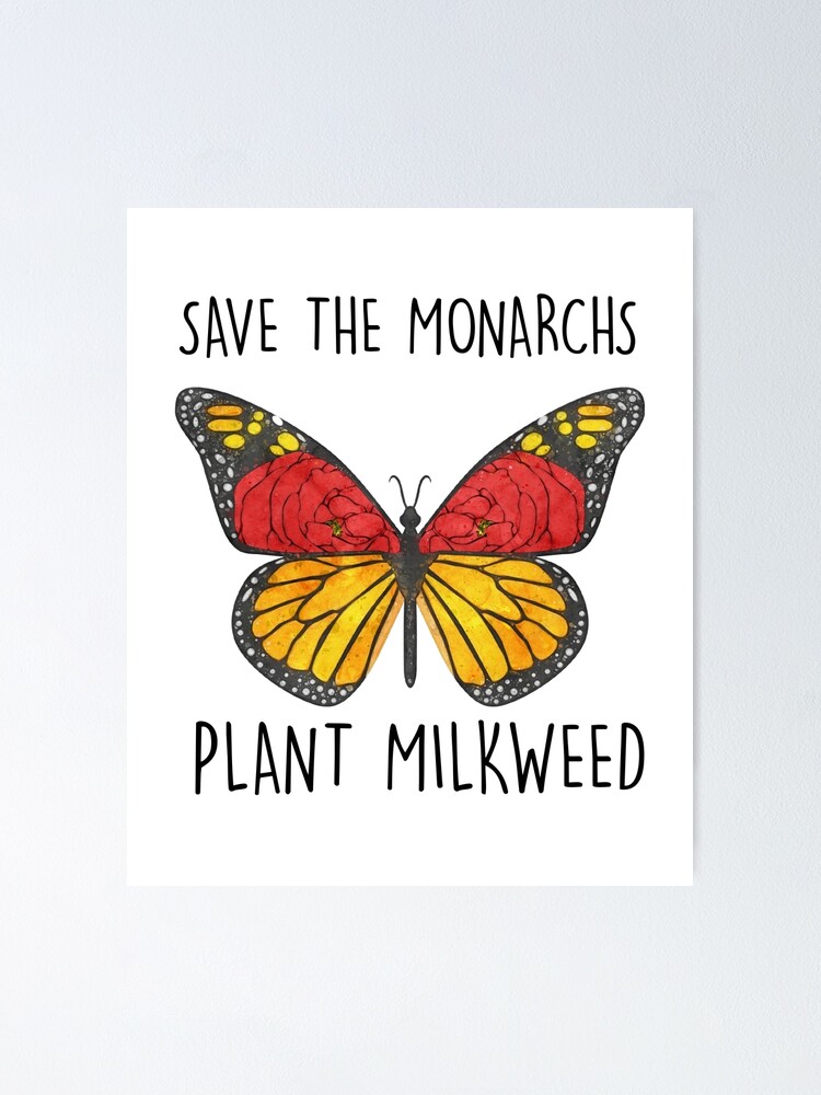 Beautiful Watercolor Save The Monarchs Plant Milkweed Poster For Sale