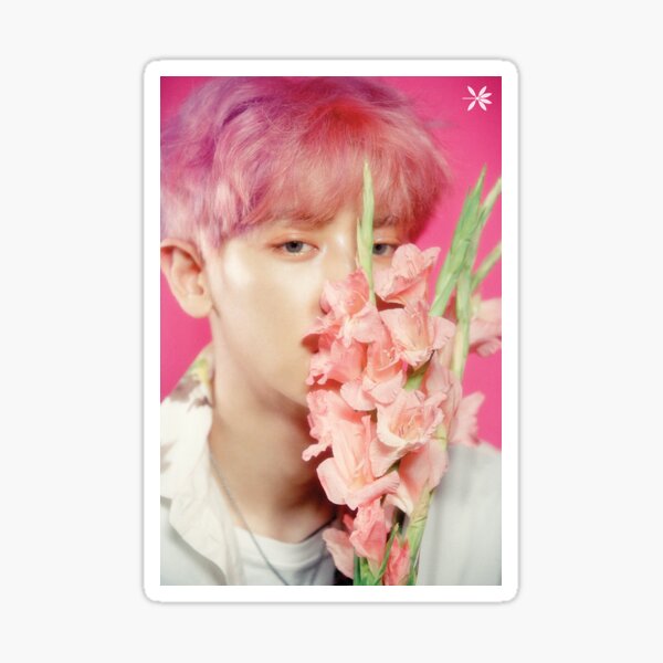 "Exo Ko Ko Bop - Chanyeol 2" Sticker for Sale by Satanscookiecat ...