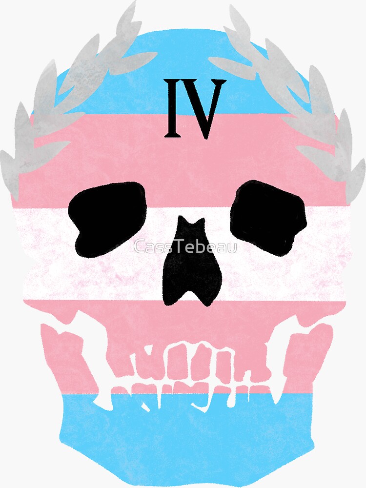 "Fourth House (Trans Flag)" Sticker for Sale by CassTebeau | Redbubble
