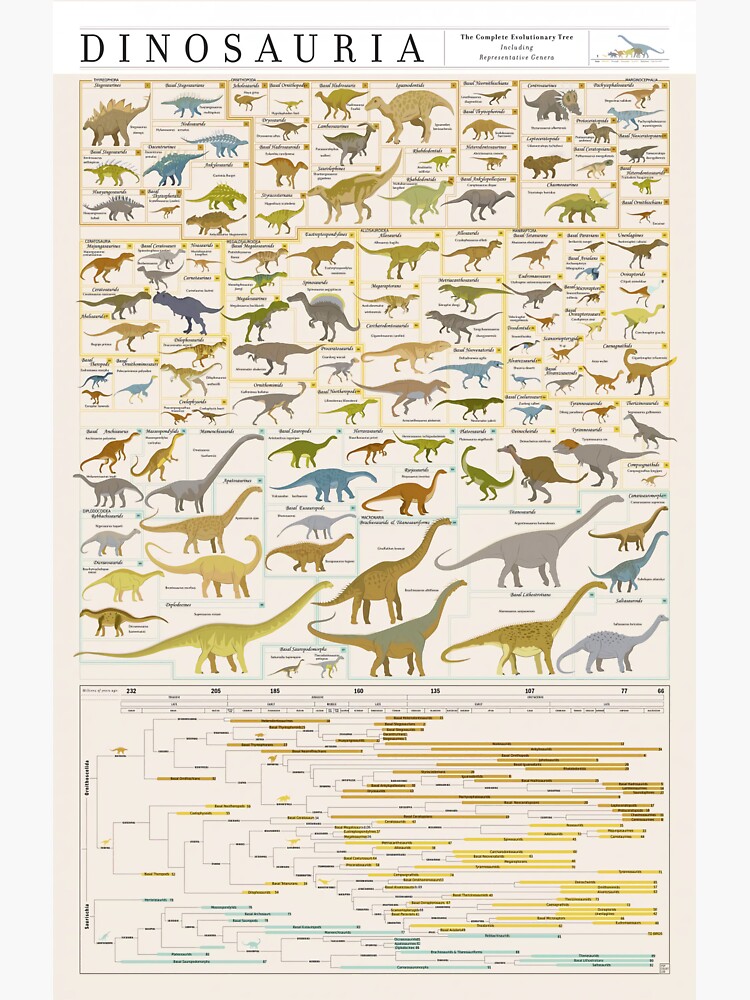 "The Complete Evolutionary Dinosaur Tree" Sticker for Sale by RBybeeose ...