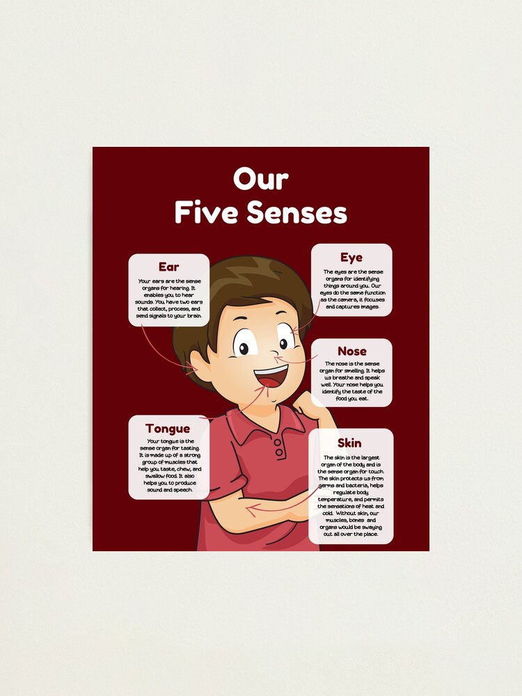Lámina fotográfica «Nuestro cartel educativo de los cinco sentidos.» de ...
