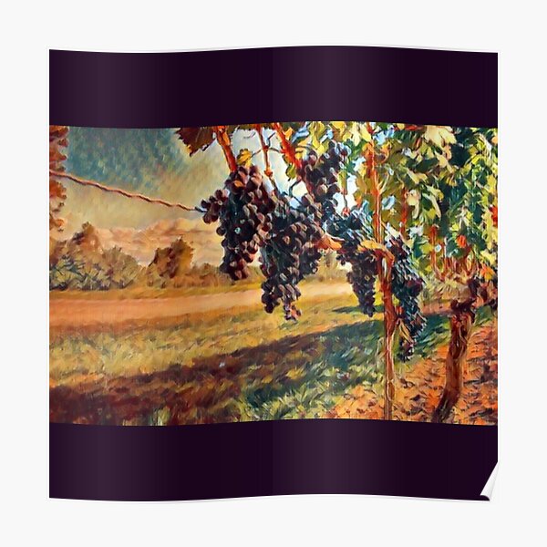 "A Stunning Italian Vineyard " Poster by Julie7526 | Redbubble