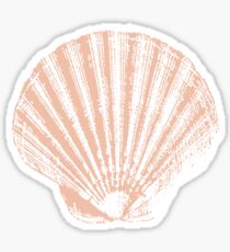 Seashell Stickers | Redbubble