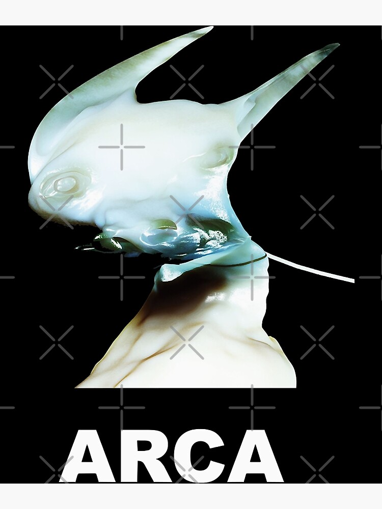 "Boys Love Anime And Sophie Arca Video Game Birthday" Poster for Sale ...