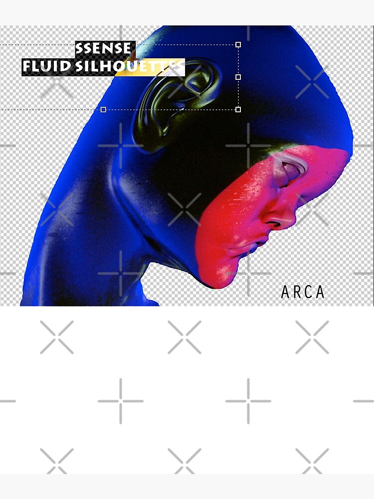 "Who Loves Music And Arca Xen Homogenic Photographic Style" Poster for ...