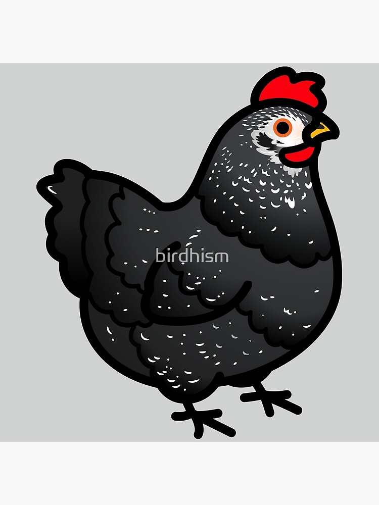 "Chubby Ancona Chicken" Poster for Sale by birdhism | Redbubble
