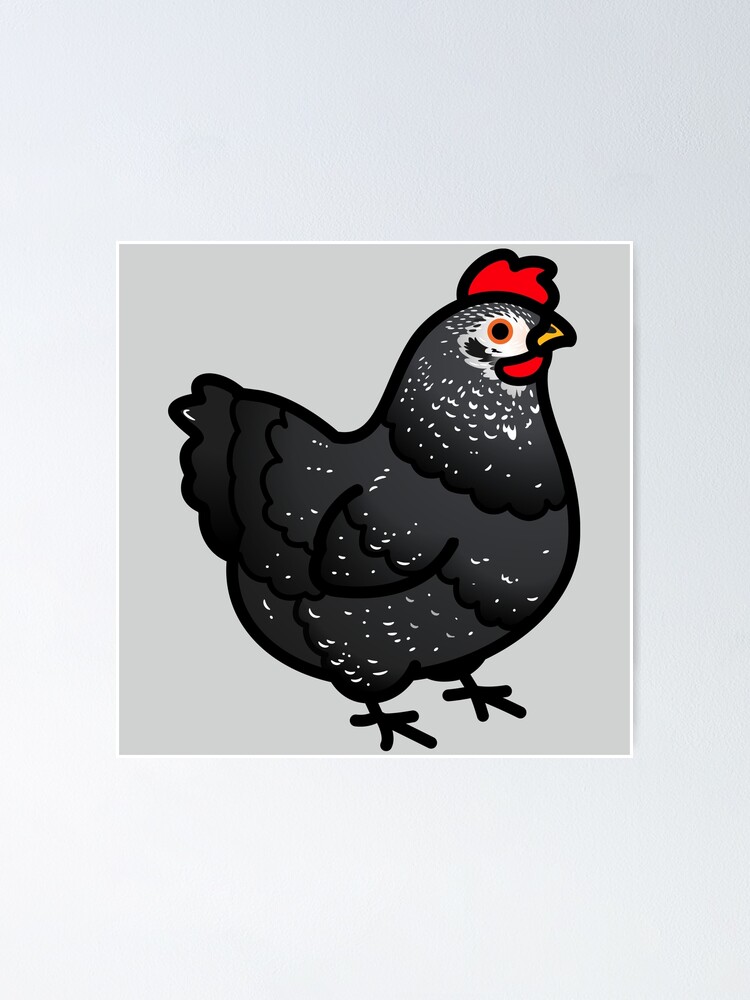 "Chubby Ancona Chicken" Poster for Sale by birdhism | Redbubble