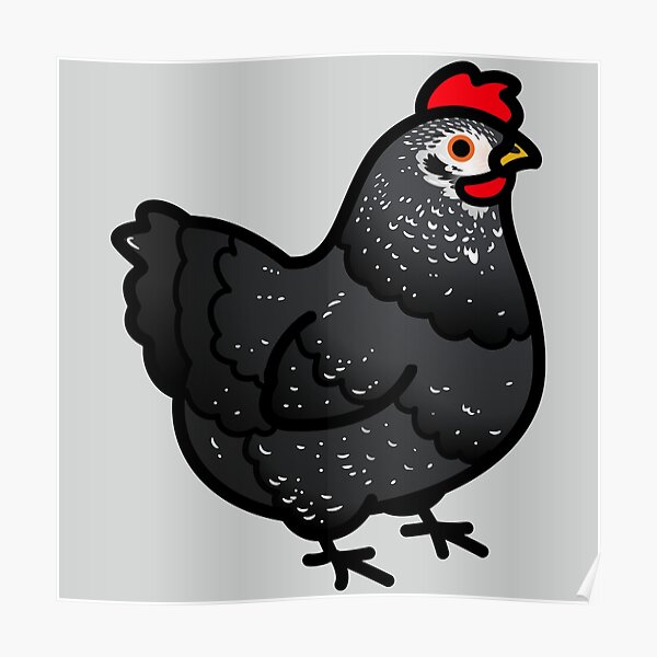 "Chubby Ancona Chicken" Poster for Sale by birdhism | Redbubble