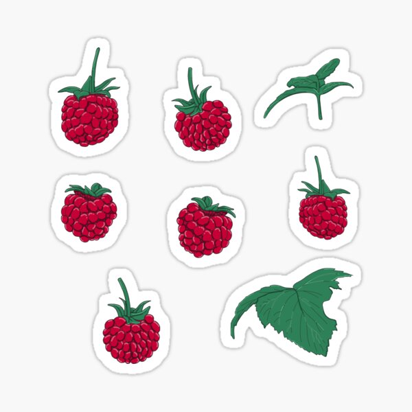 "Pink raspberry field pattern" Sticker for Sale by AnnaEleCreate ...