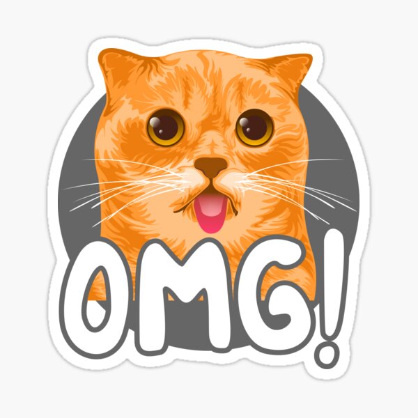 "OMG! " Sticker for Sale by tranda90 | Redbubble