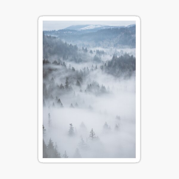 "Forest in Fog - Amazing, Spectacular, Engaging" Sticker for Sale by ...