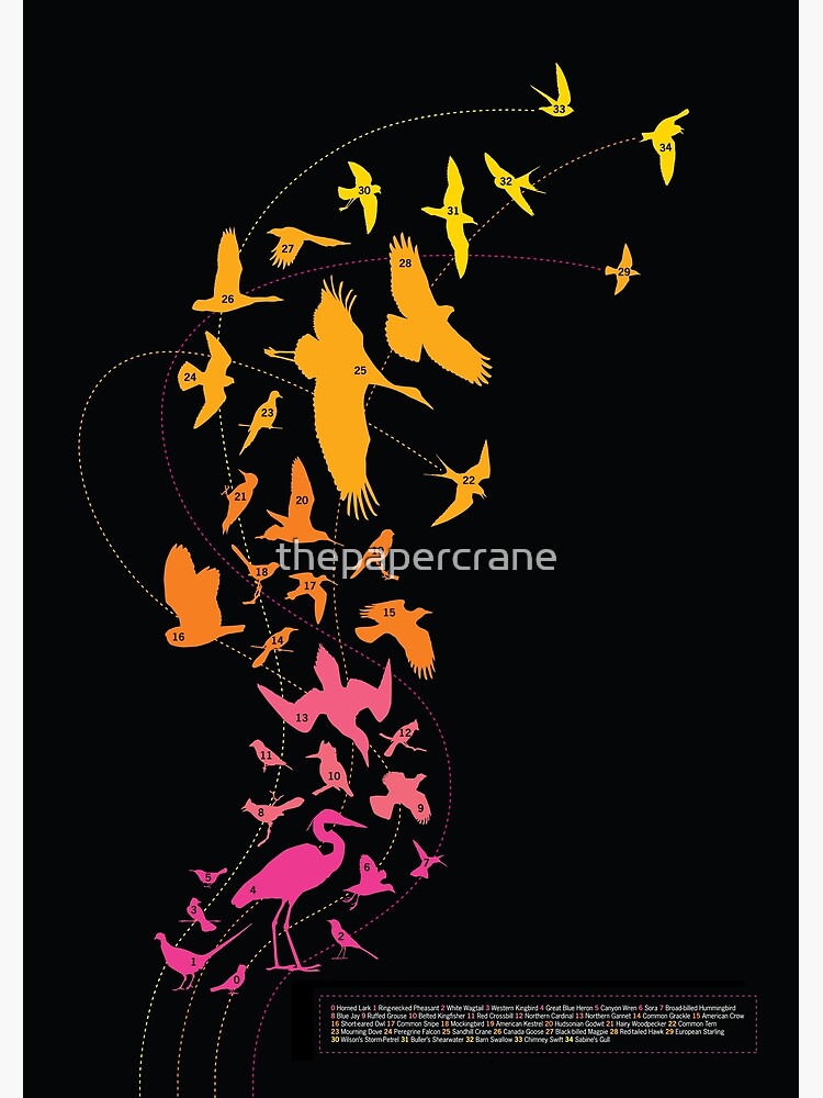 "Field Study 01" Poster for Sale by thepapercrane | Redbubble